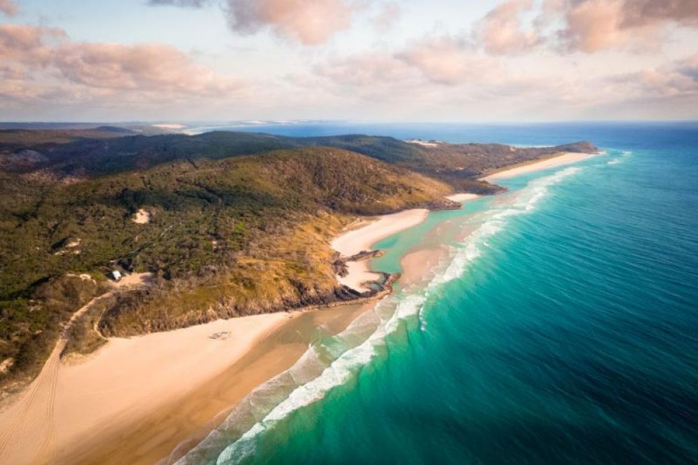 2 Day K'gari (Fraser Island) 4WD Tag Along Adventure - Dingos