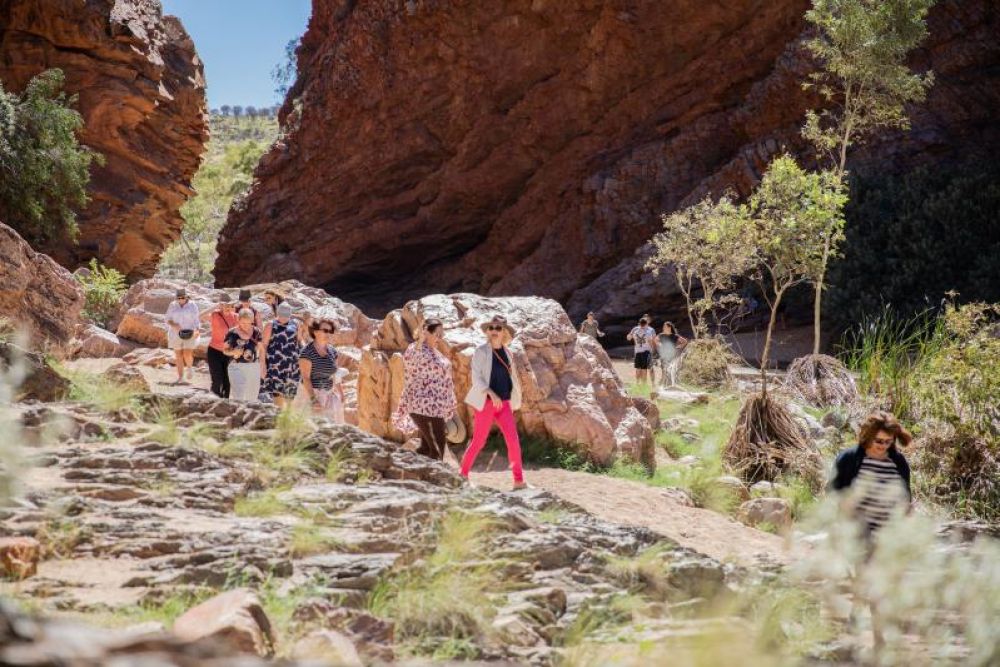 3 Day Uluru Kata Tjuta & Kings Canyon Tour - from Ayers Rock/Yulara