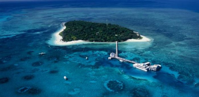 2 in 1 Green Island & Outer Barrier Reef Activity Platform