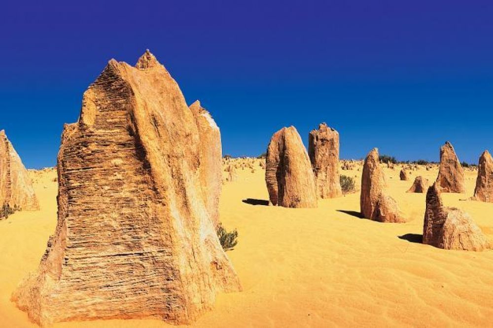 4WD Pinnacles, Koalas & Sand Boarding - Pinnacle Tours