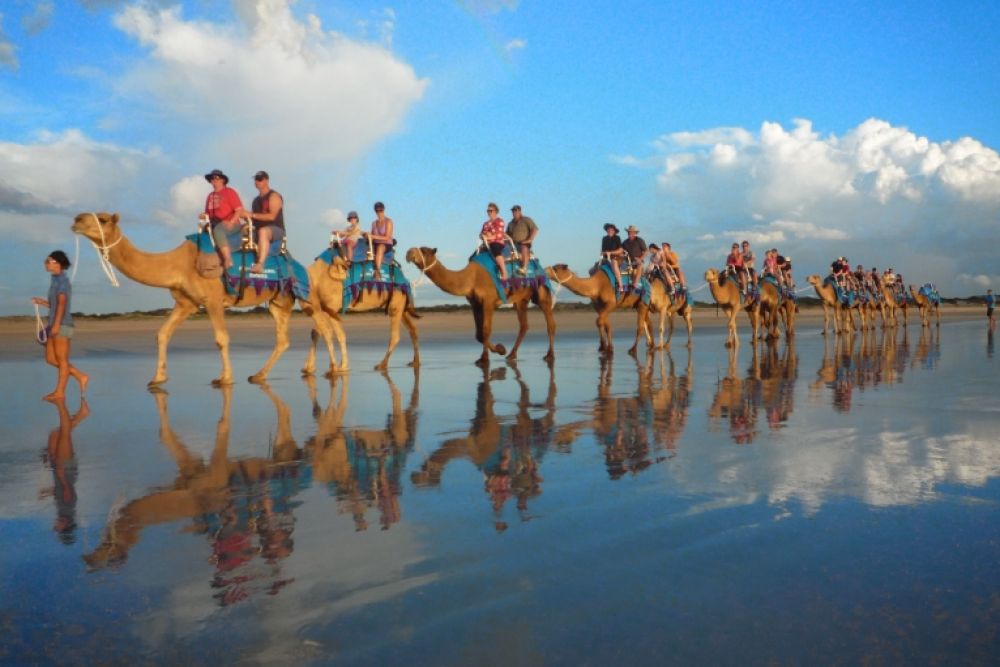 Pre-Sunset Camel Experience - Broome Camel Safaris