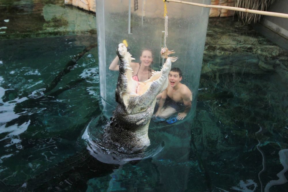 Cage of Death + Croc Cove entry - Crocosaurus Cove Darwin