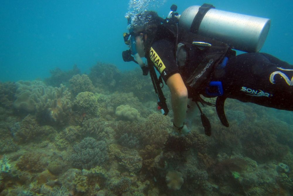 1 Day Great Barrier Outer Reef Tour - Ocean Freedom